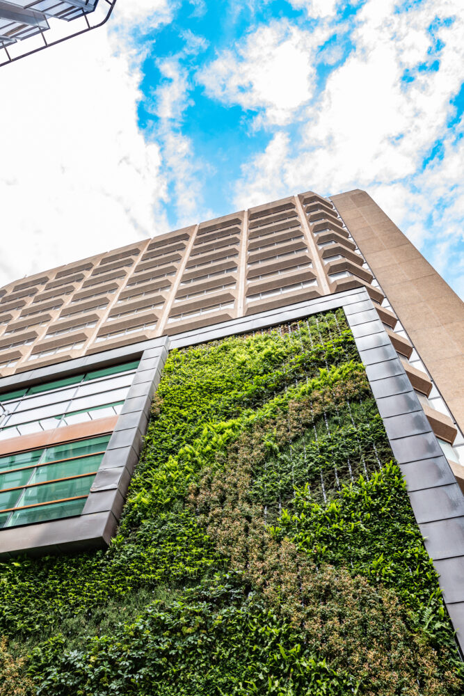 2022-23 Manchester BID ‘Environment, Social & Governance’ Review - CityCo